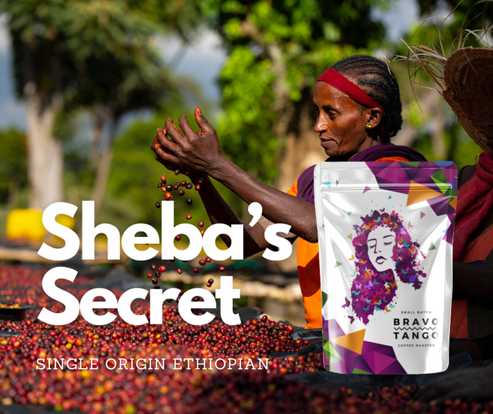 Sheba’s Secret - 227g Whole Bean Single Origin Ethiopian – Bravo Tango Coffee